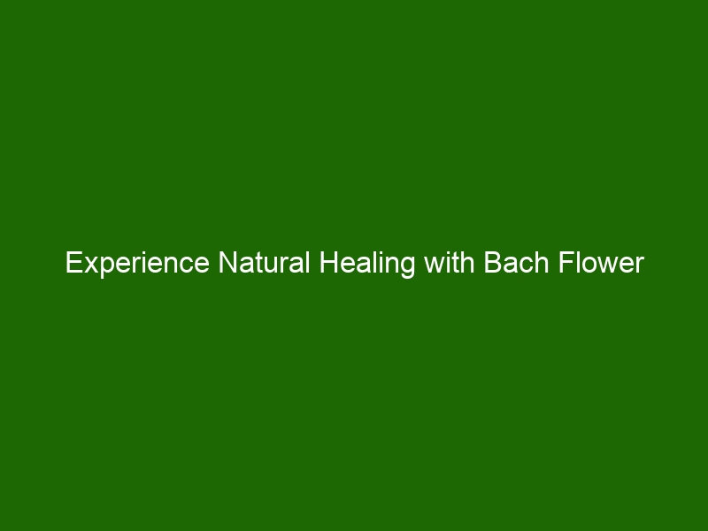 Experience Natural Healing with Bach Flower Remedies: Unlock Your Inner ... Experience Natural Healing with Bach Flower Remedies: Unlock Your Inner ...