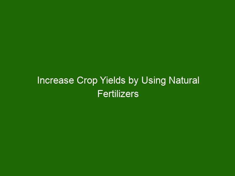 Increase Crop Yields By Using Natural Fertilizers Tips And Benefits