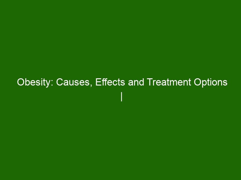 Obesity Causes Effects And Treatment Options Comprehensive Guide