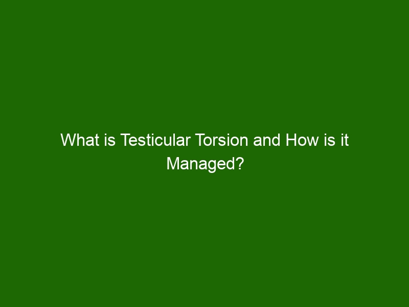 What Is Testicular Torsion And How Is It Managed Health And Beauty