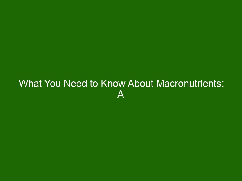 What You Need To Know About Macronutrients A Comprehensive Guide