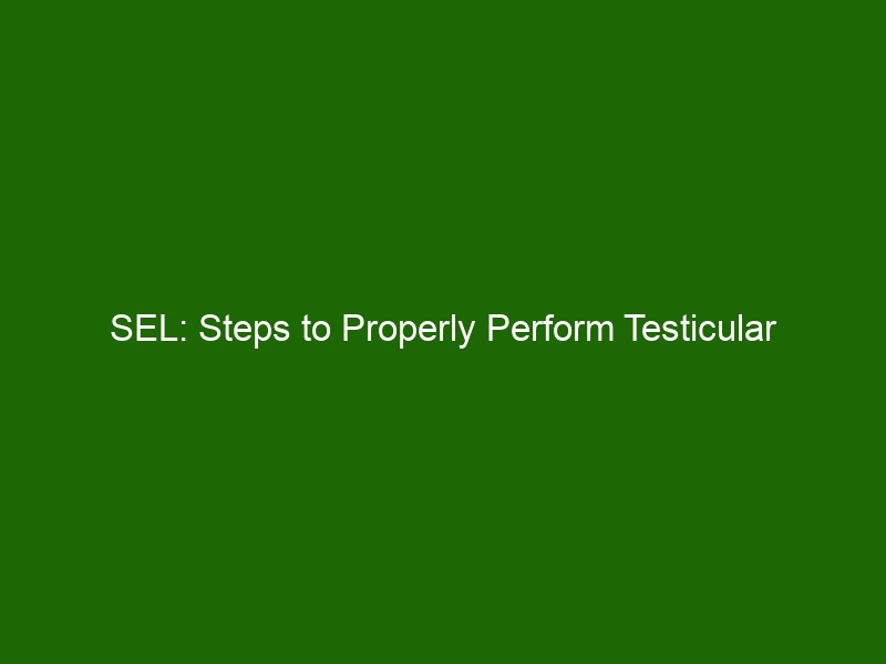 Sel Steps To Properly Perform Testicular Self Exam And Its Health